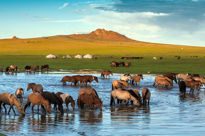 What to Photograph in Mongolia and When to Go
