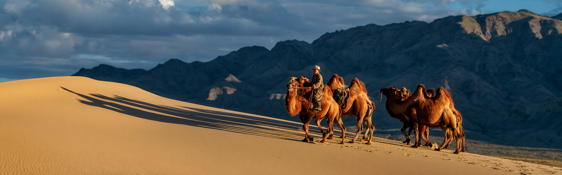 Eagle Hunting Festival and Golden Gobi 2024 Tour