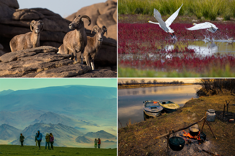 Mongolia Events 2019 | Monthly Travel Guide
