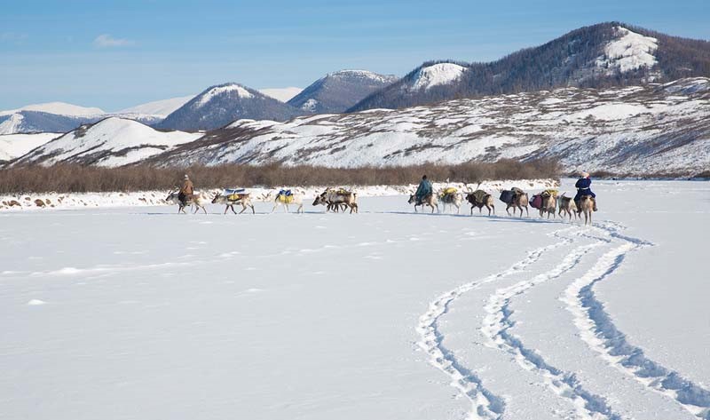 Tsaatans - the Reindeer People